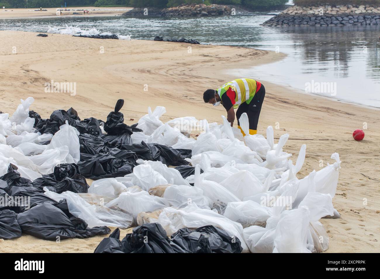 Worker wearing face mask is cleaning up oil spills, damage control ...