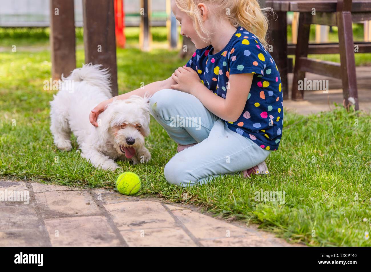 Young Girl Playing With Maltese Dog in Backyard Stock Photo - Alamy