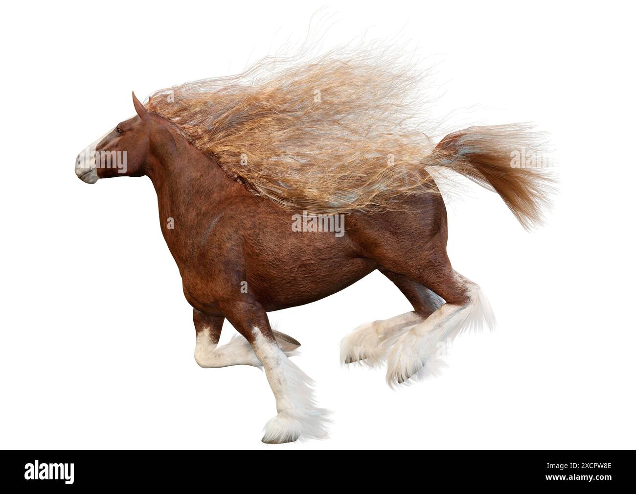 3D rendering of a brown clydesdale horse isolated on white background ...