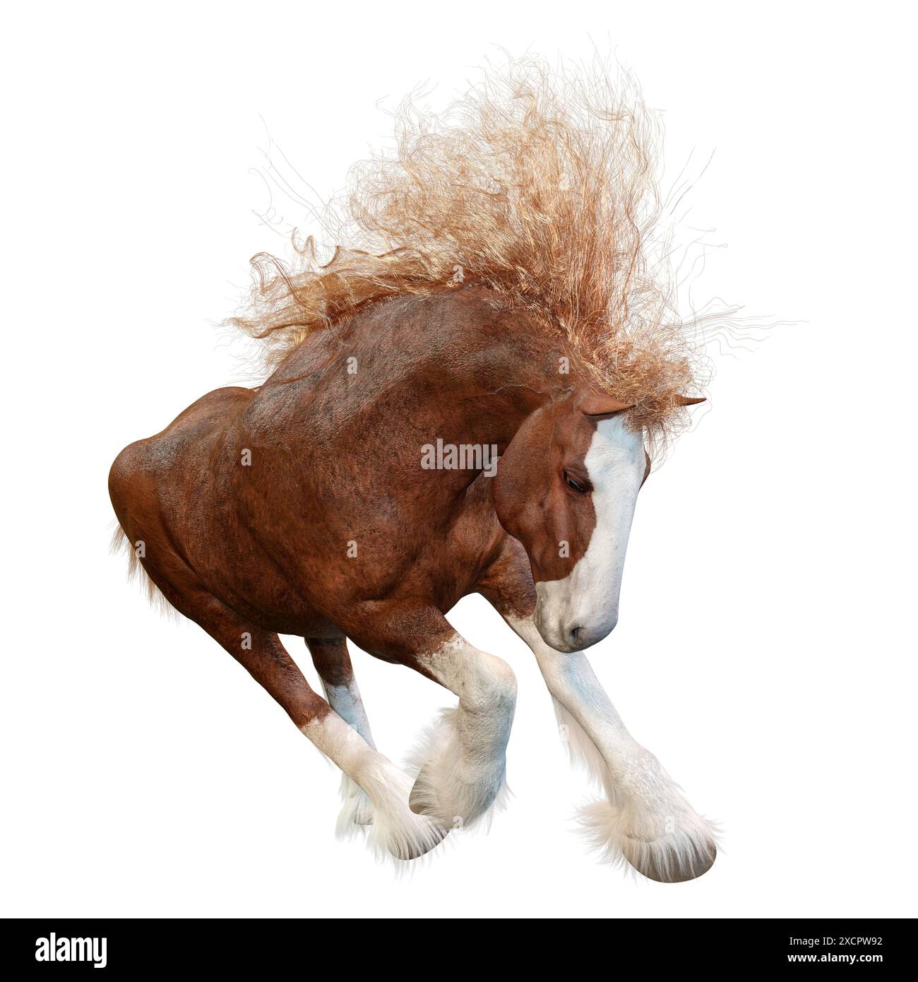3D rendering of a brown clydesdale horse isolated on white background ...