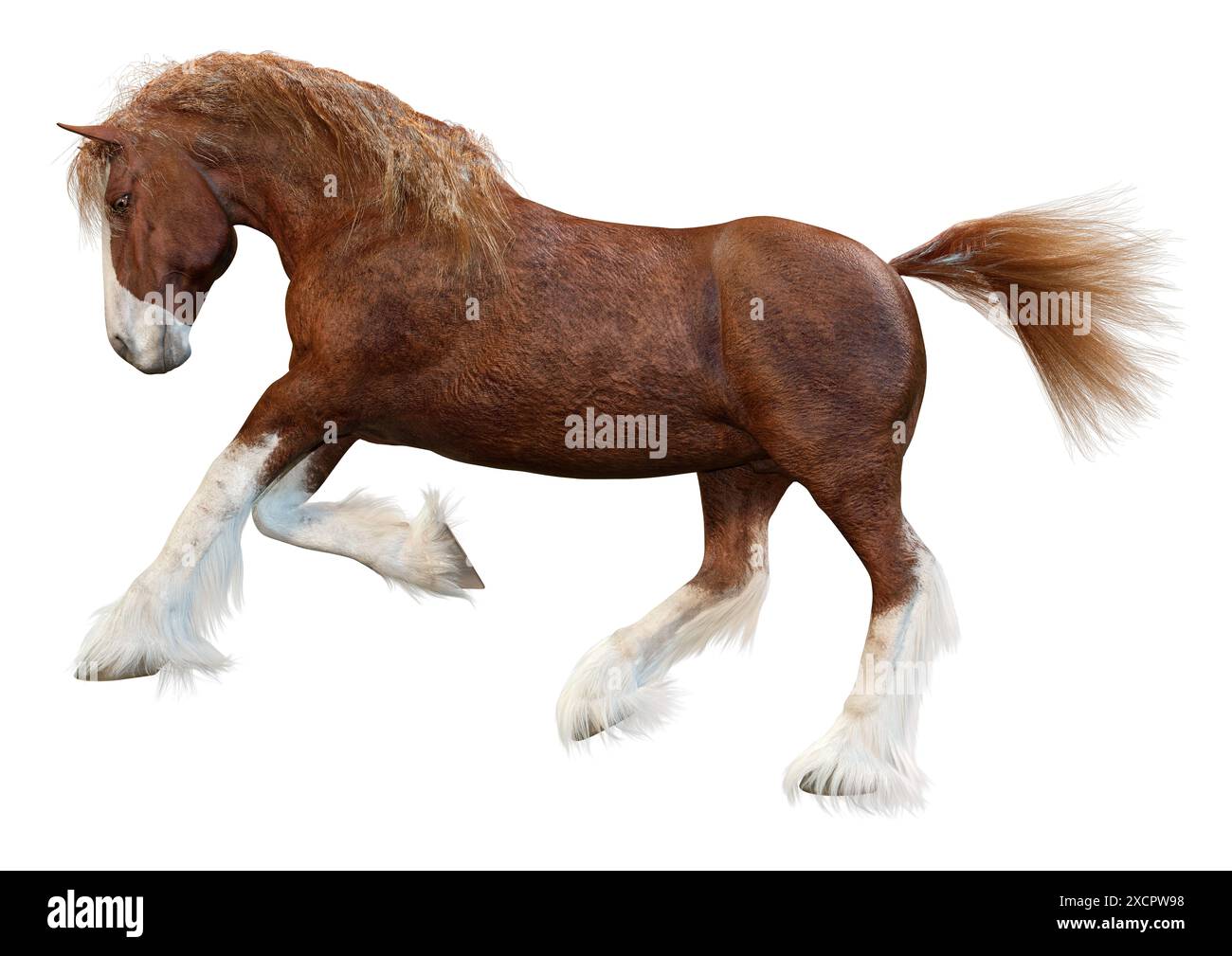 3D rendering of a brown clydesdale horse isolated on white background ...