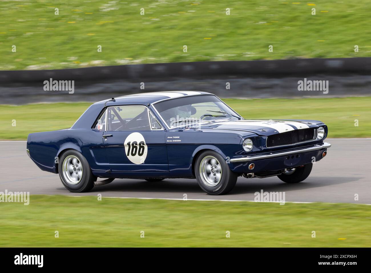 James Thorpe / Gordon Shedden, 1965 Ford Mustang during the Ken Miles ...