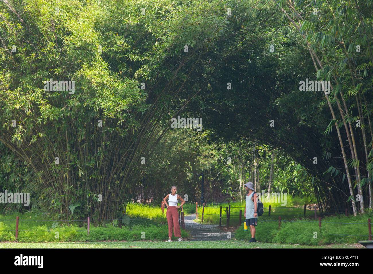 Two European visitors sightseeing, check out the surreal tropical ...