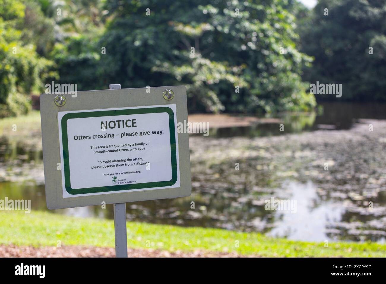 Signboard notice to inform the public about wildlife otters crossing in ...