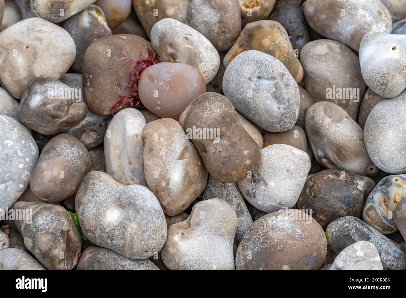 Full frame picture showing lots of cobbles seen at the Normandy region ...