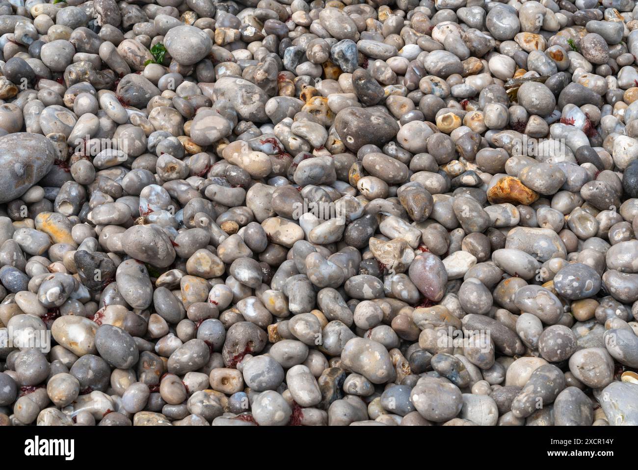 Full frame picture showing lots of cobbles seen at the Normandy region ...