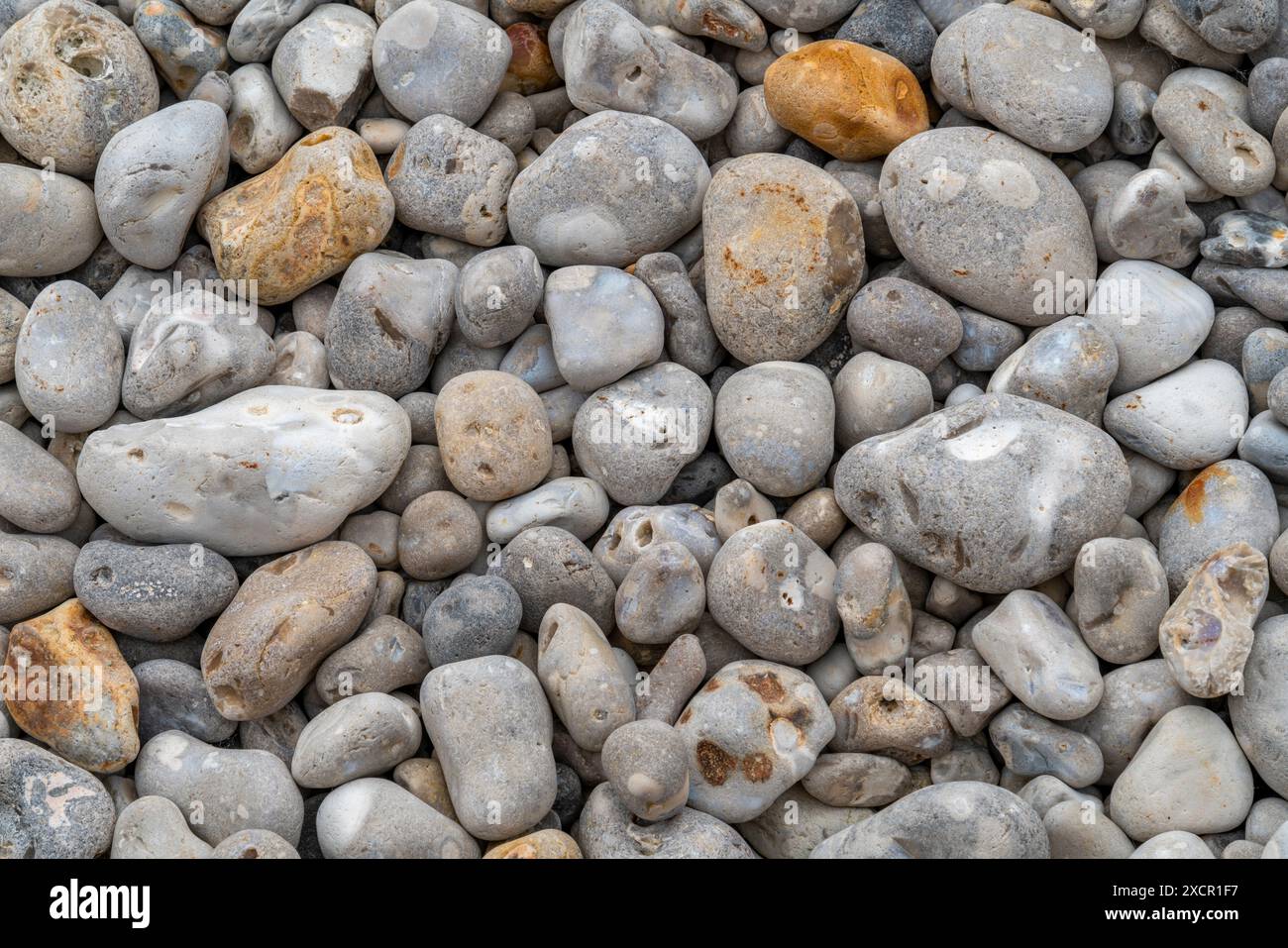 Closeup coastal scenery showing lots of cobbles seen at a beach in the ...