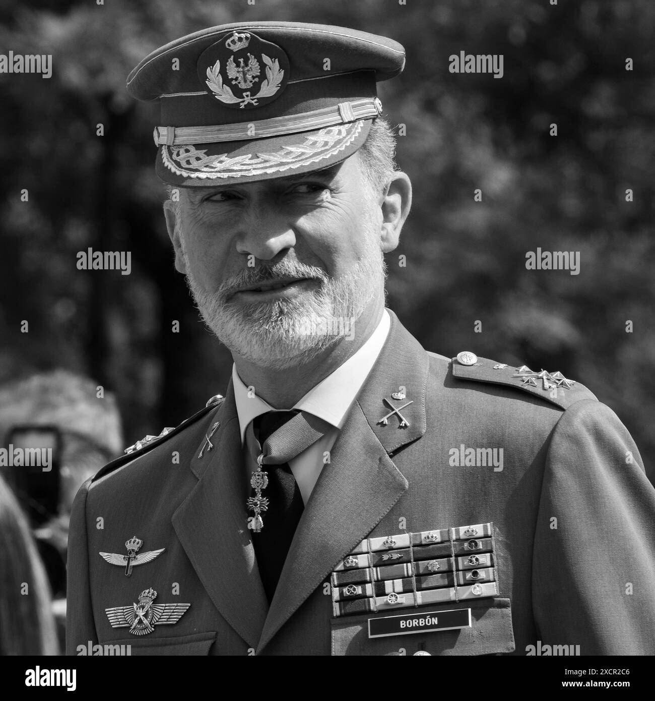 Felipe vi of spain uniform hi-res stock photography and images - Alamy