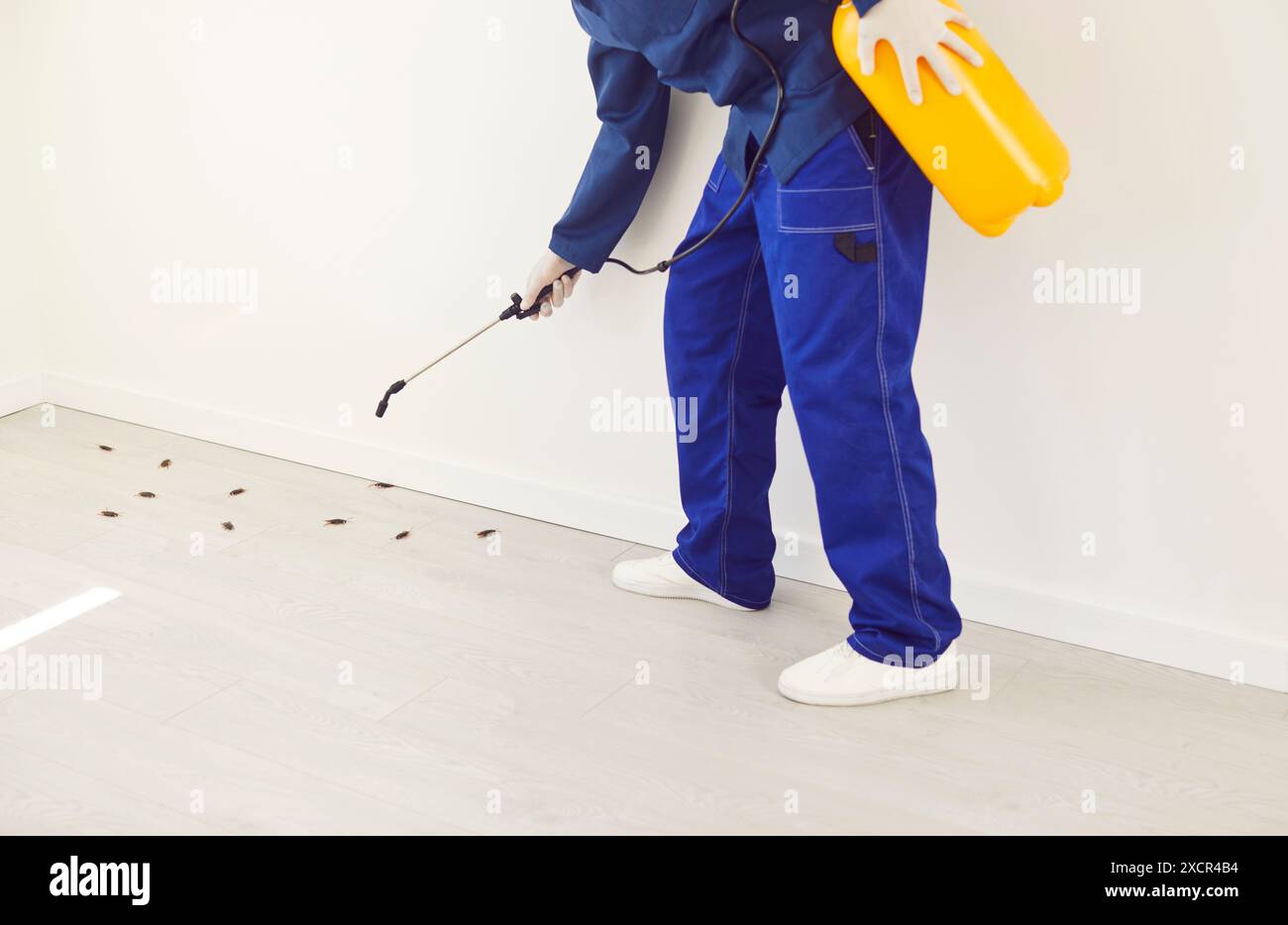 Pest Control Worker Spraying Home with Insecticide to Eradicate ...