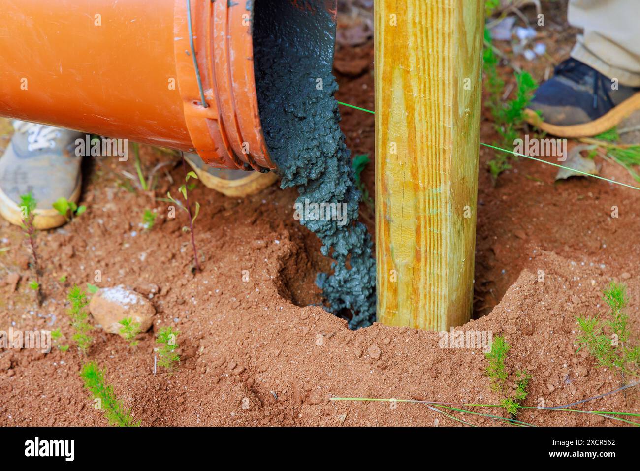 Construction of new timber fence and wooden fence posts using concrete ...
