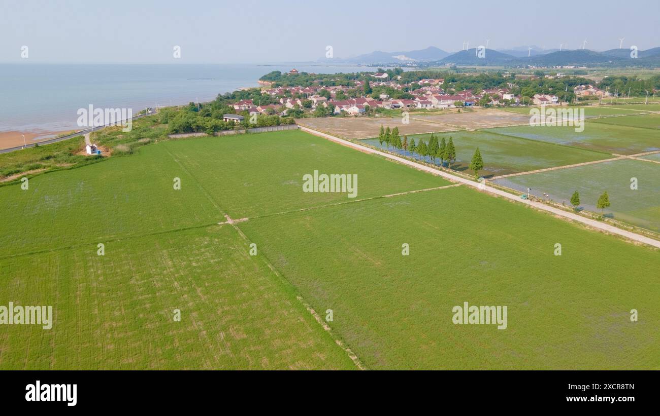 (240618) -- CHAOHU, June 18, 2024 (Xinhua) -- An aerial drone photo ...