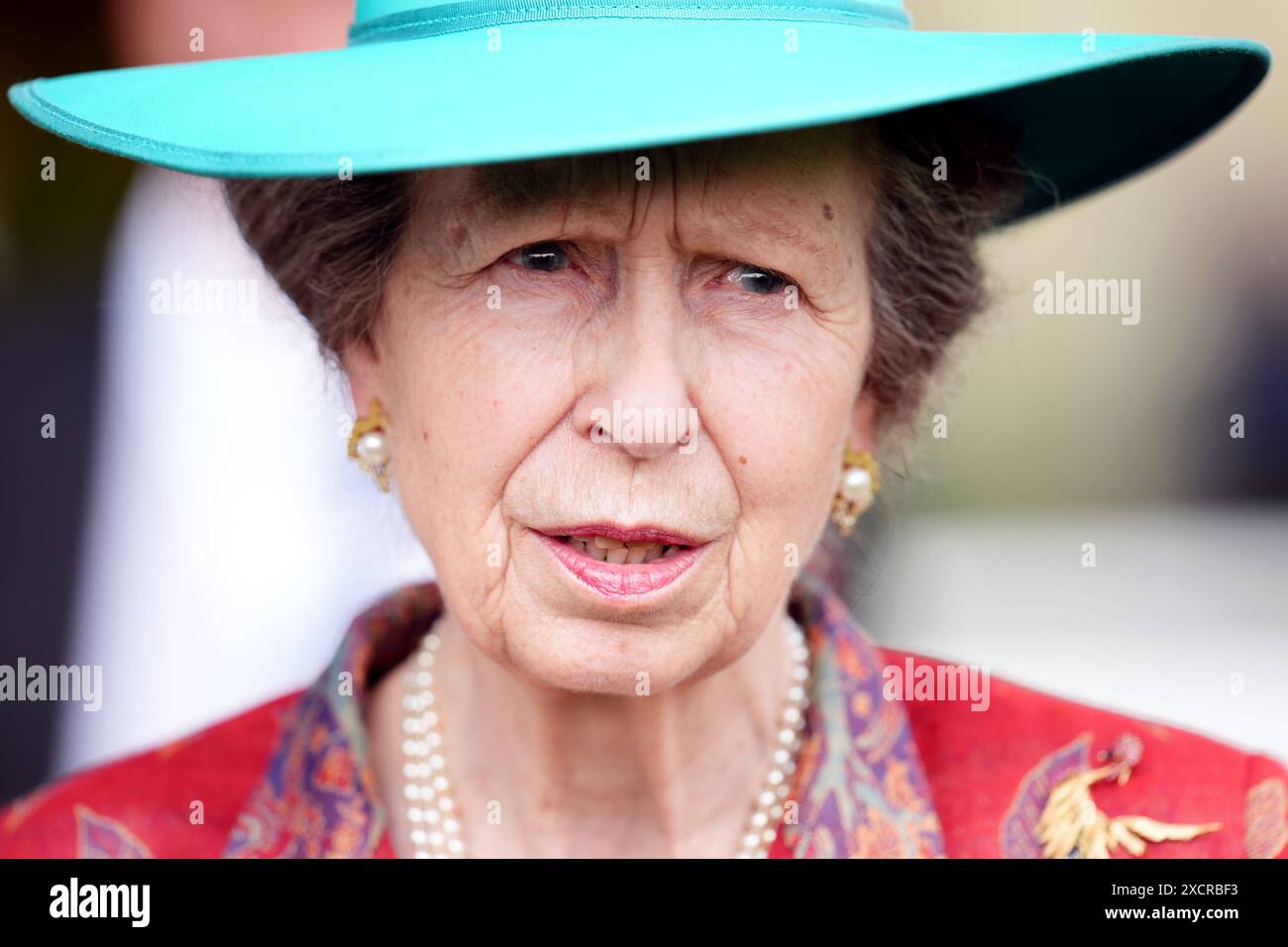 The Princess Royal on day one of Royal Ascot at Ascot Racecourse ...