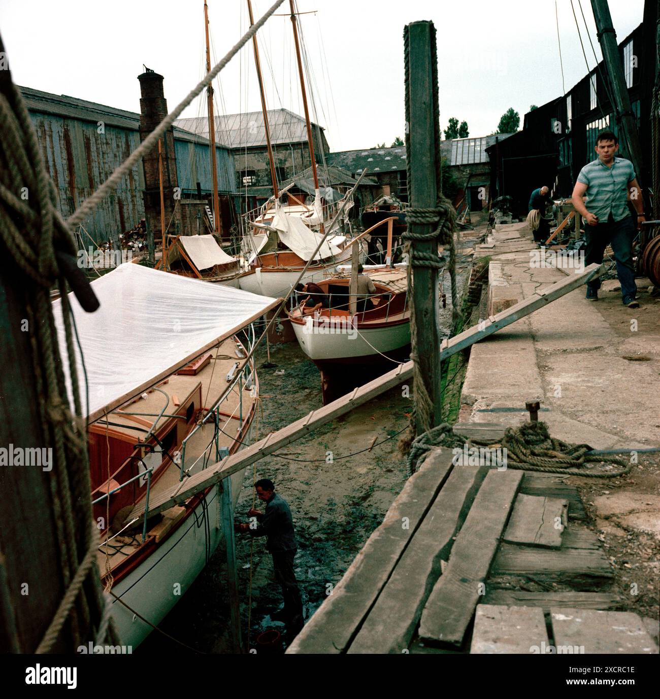 PPL PHOTO AGENCY - COPYRIGHT RESTRICTED PHOTO CREDIT : Eileen Ramsey ...