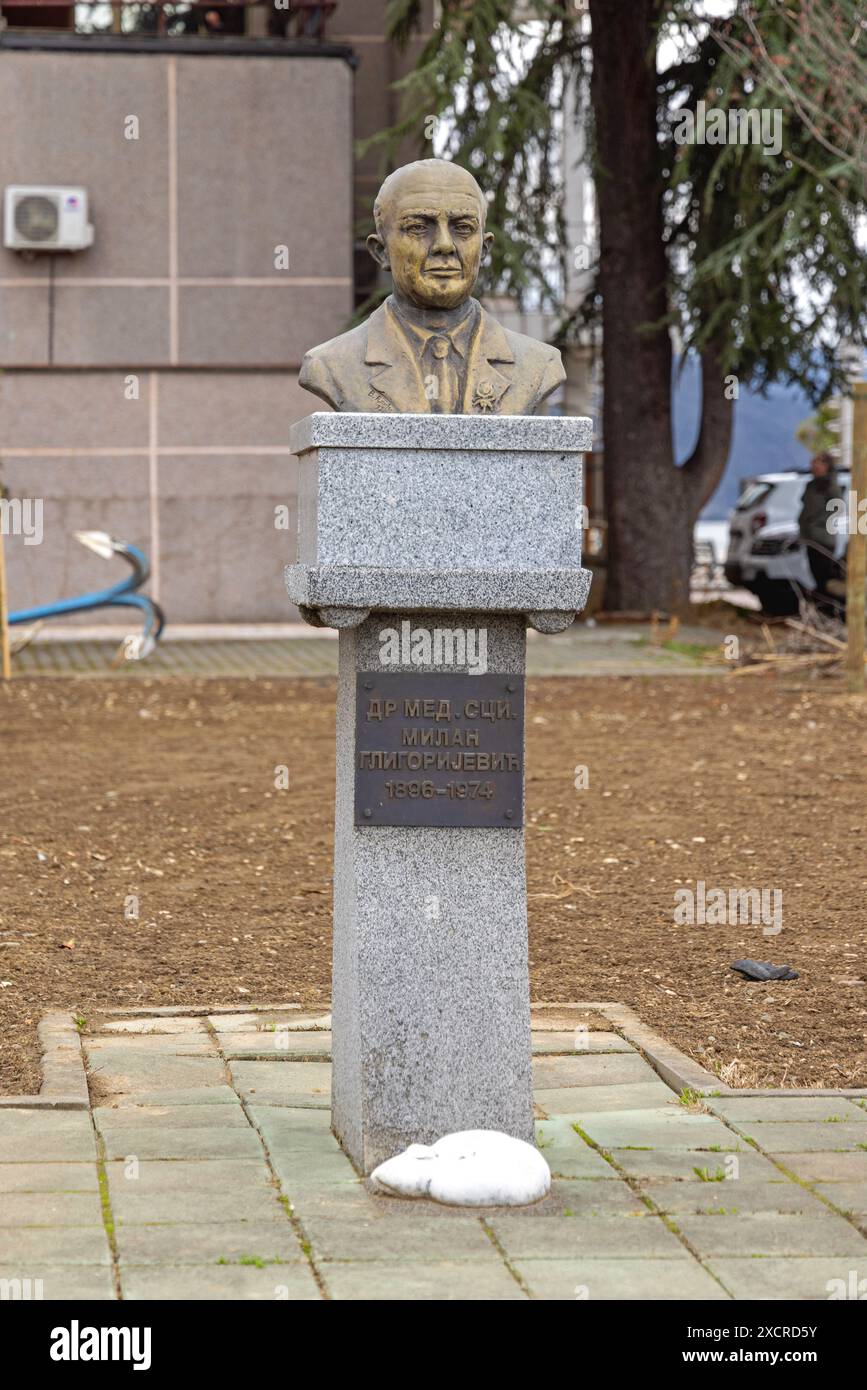 Donji Milanovac, Serbia - March 14, 2024: Bronze Bust Monument to Dr ...