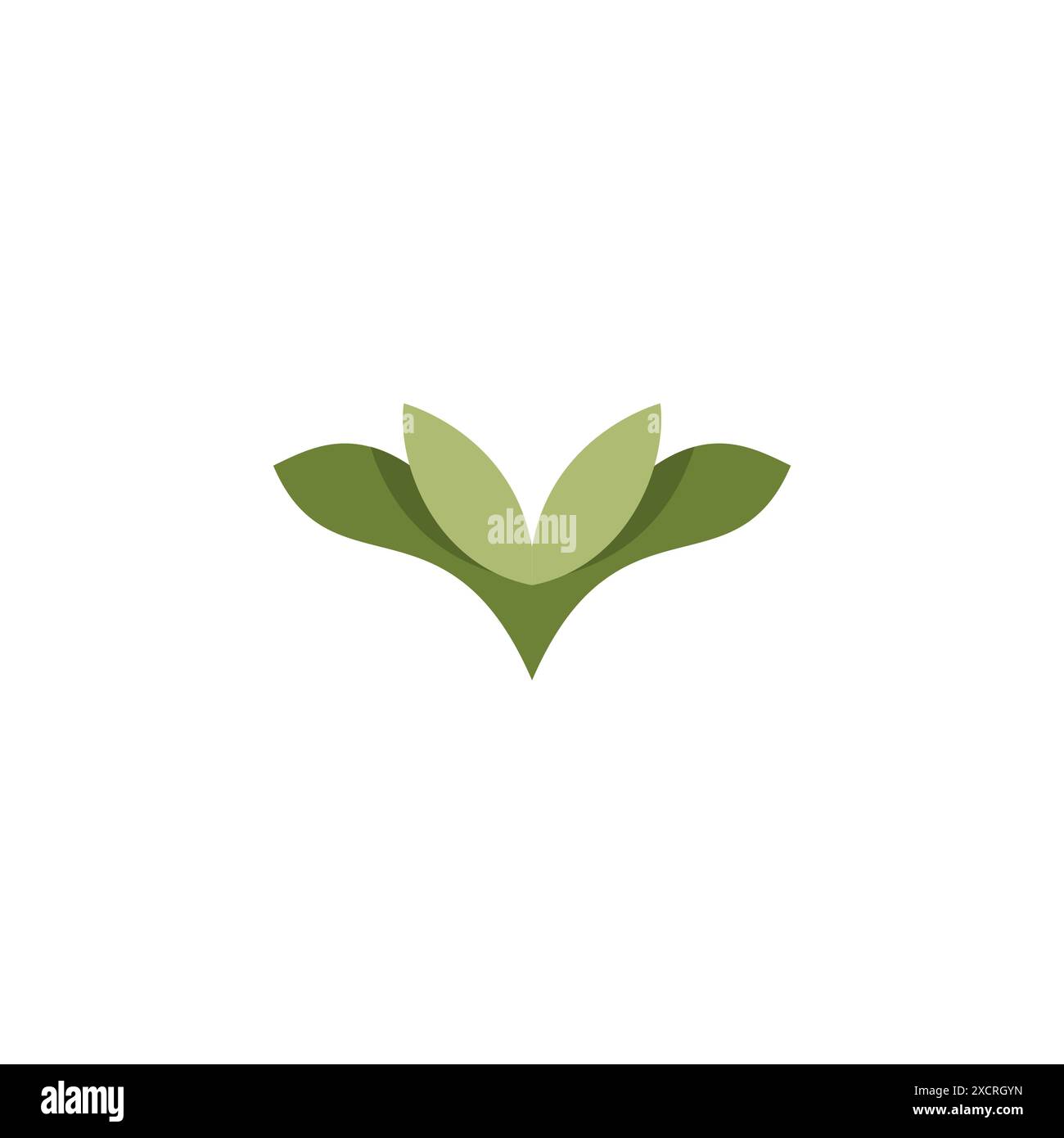 V Leaf Logo Vector. Flower Nature Icon Stock Vector Image & Art - Alamy