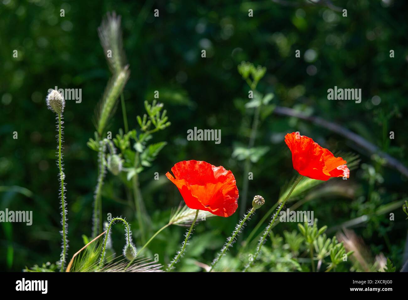 Foco exterior hi-res stock photography and images - Alamy