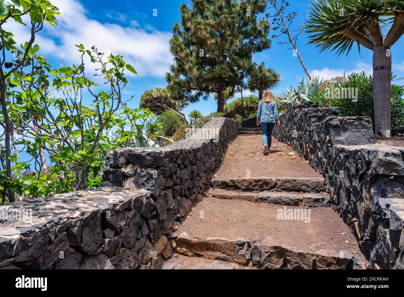 Woman climbing a path in a garden with strange species of trees such as ...