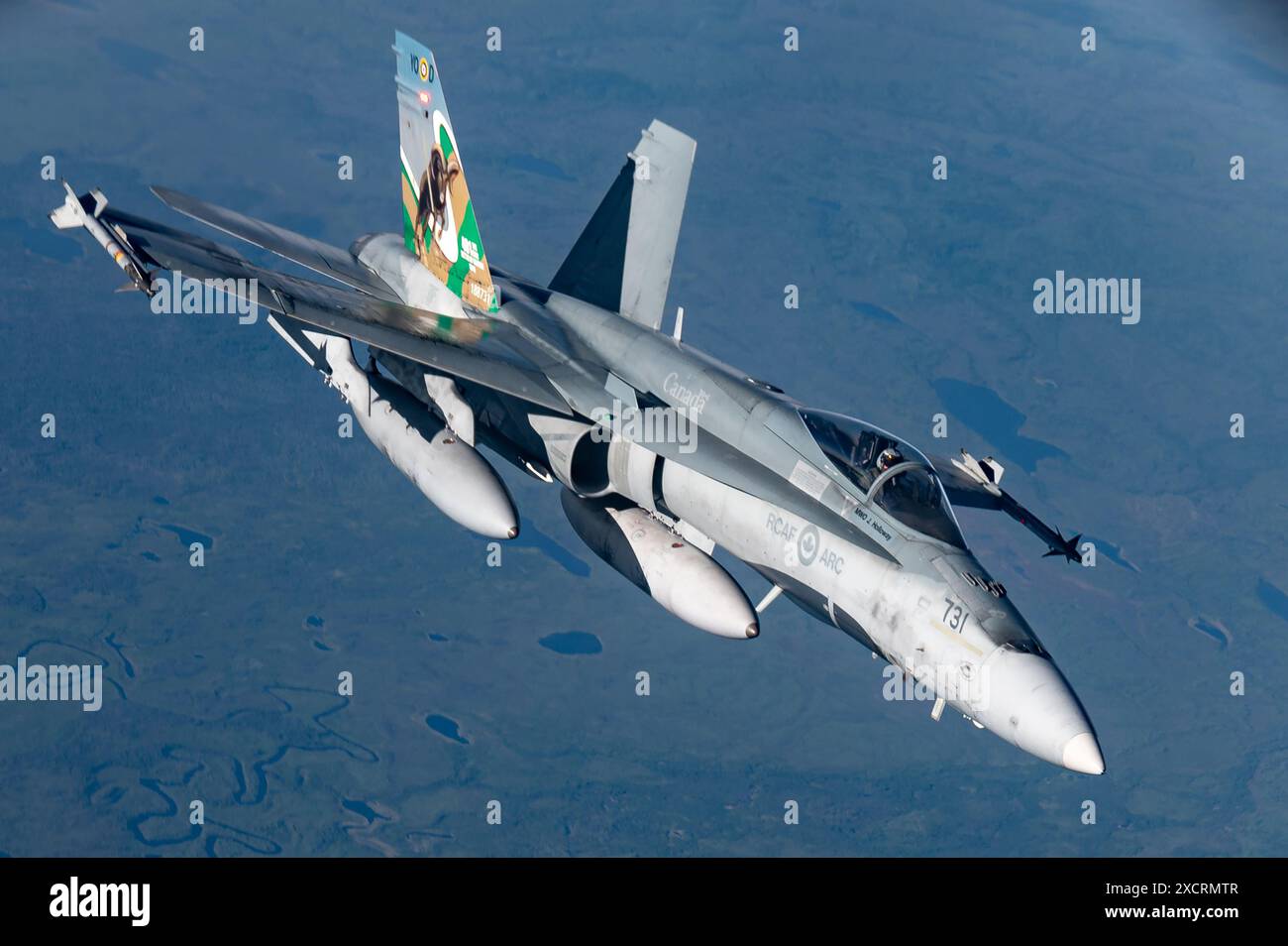 North American Aerospace Defense Command CF-18 Hornet flies alongside a ...