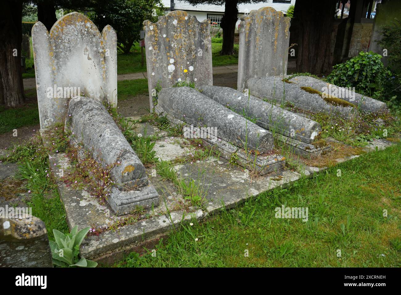 Gravestones in the graveyard at All Saints Church Stock Photo - Alamy