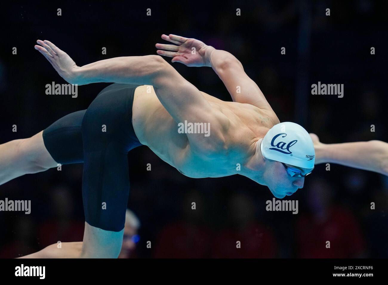 Jack Alexy swims during a Men's 100 freestyle preliminary heat Tuesday ...