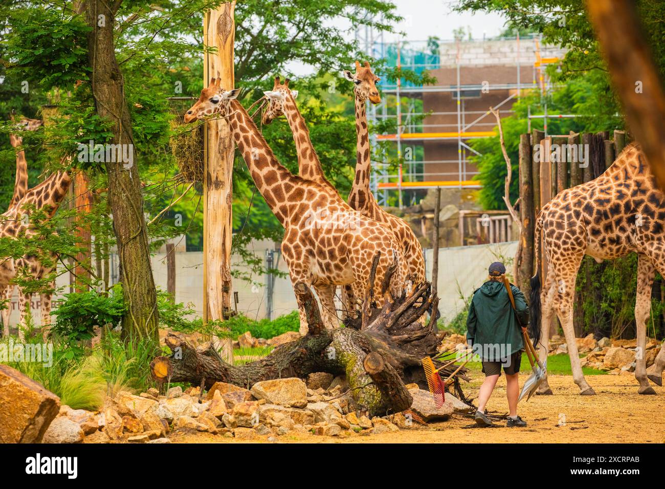 Berlin, Germany. 30. 06. 2023. a plus size young woman in a zoo uniform ...