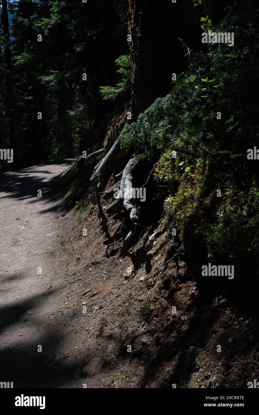 Follow sun path hi-res stock photography and images - Alamy