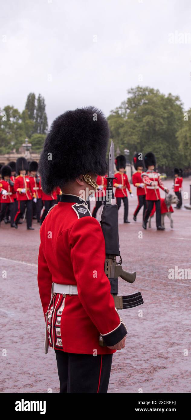 Grenadier Guard Lining The Route Trooping The Colour Color The Mall ...