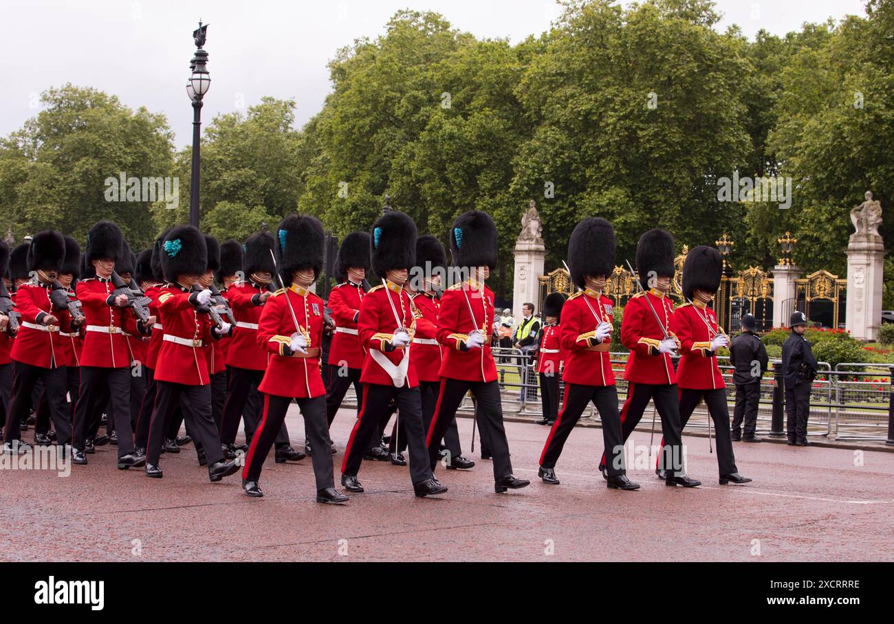 Grenadier and Irish Guards Officers Marching Trooping The Colour Color ...