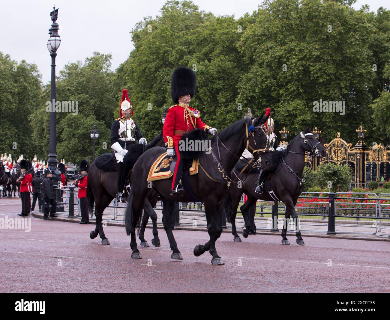 Lieutenant Colonel Grenadier Guards Leader of the Parade Trooping The ...