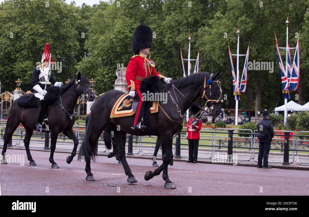 Lieutenant Colonel Grenadier Guards Leader of the Parade Trooping The ...