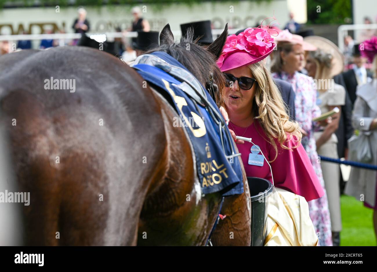 Ascot, UK. 18 June, 2024. Trainer Amy Murphy with Asfoora after winning ...
