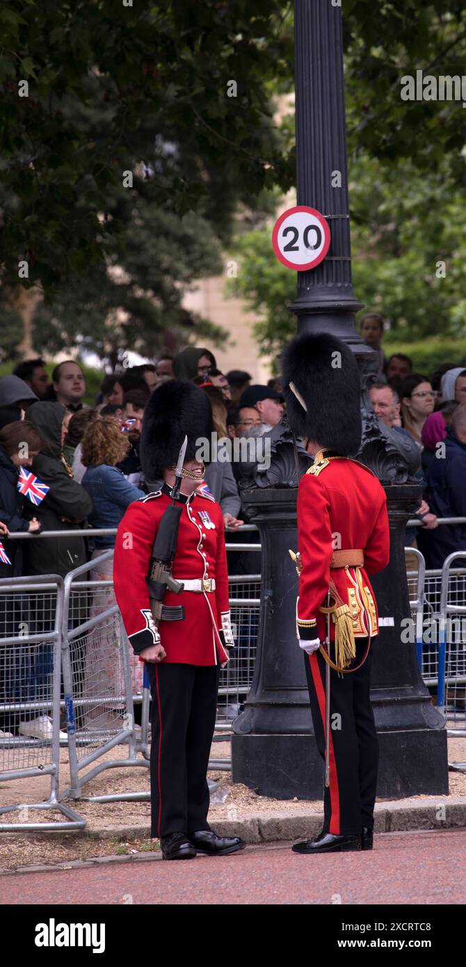 Grenadier Guards Officer Addressing Guardsman Trooping The Colour Color ...
