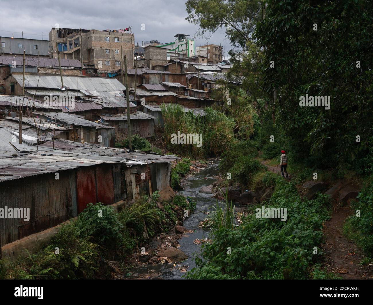 Man walking on path bordered by a river and forest on the edge of ...