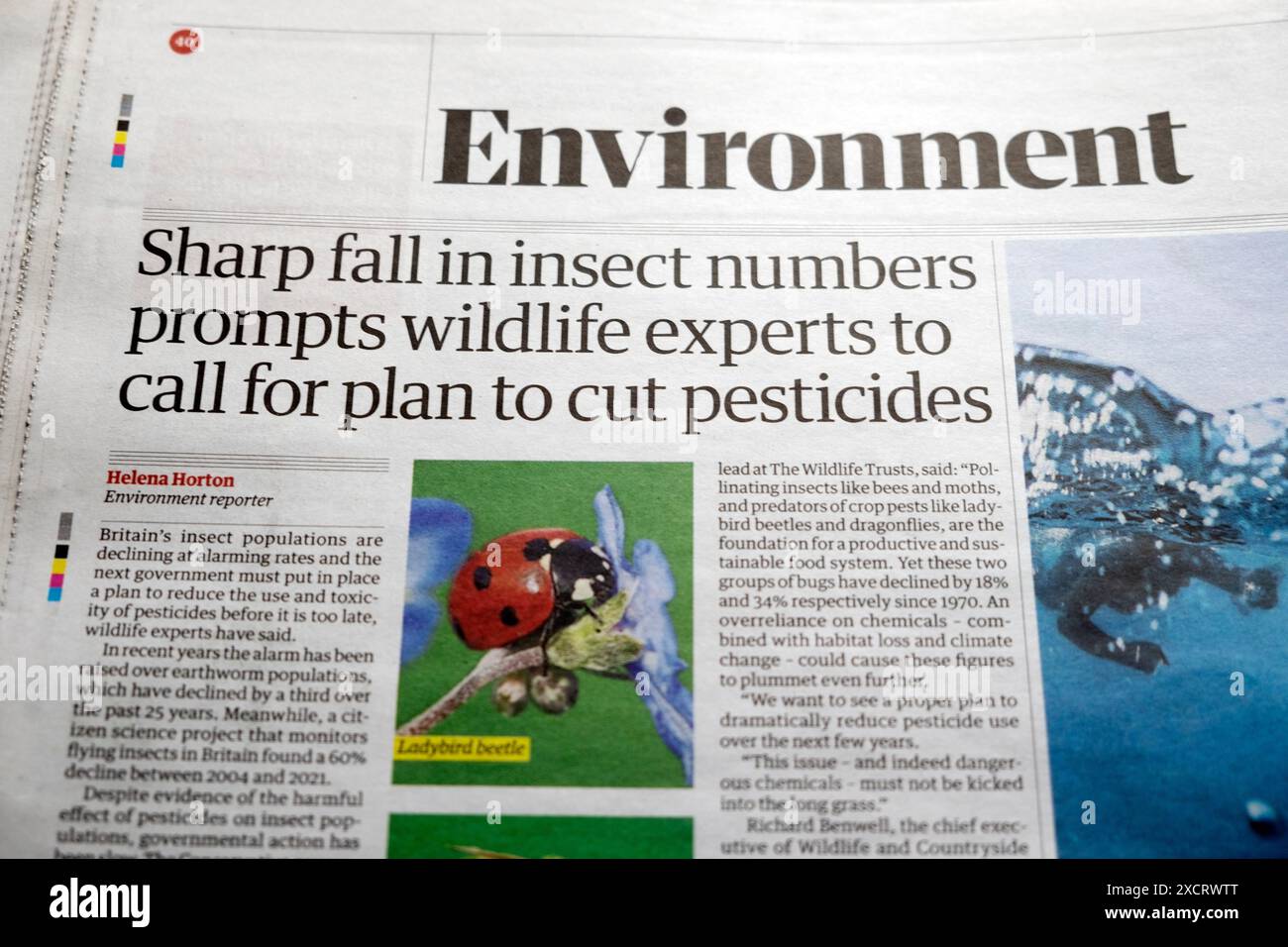 'Sharp fall in insect numbers prompt wildlife experts to call for plan ...