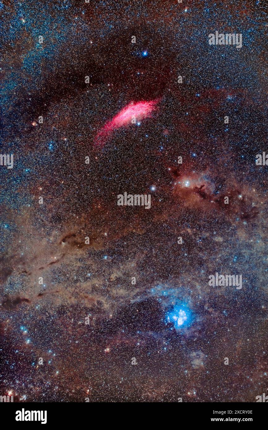 This is a portrait of the dust-filled region of sky from Perseus down ...