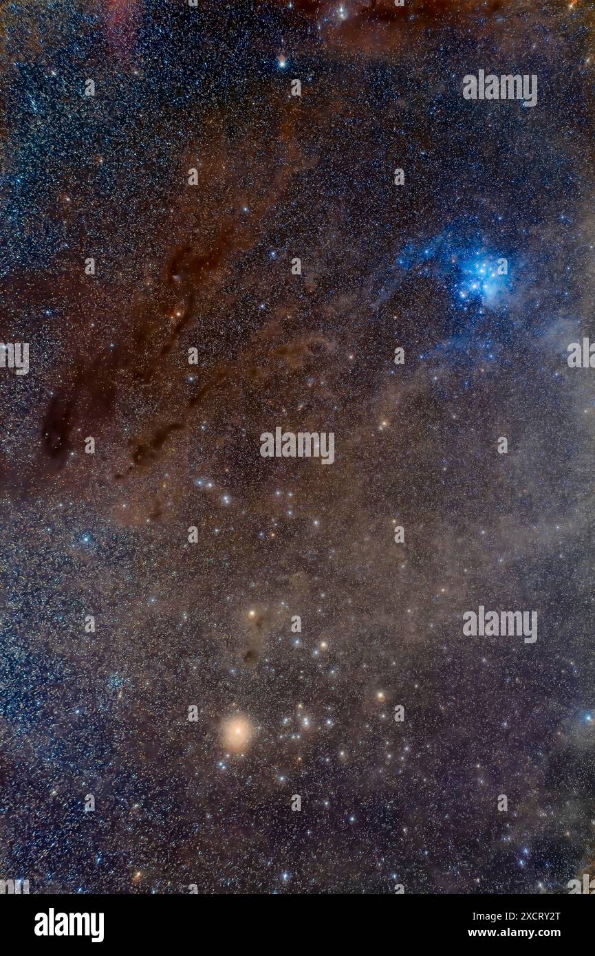 This is a portrait of the dust-filled region of sky in Taurus that ...