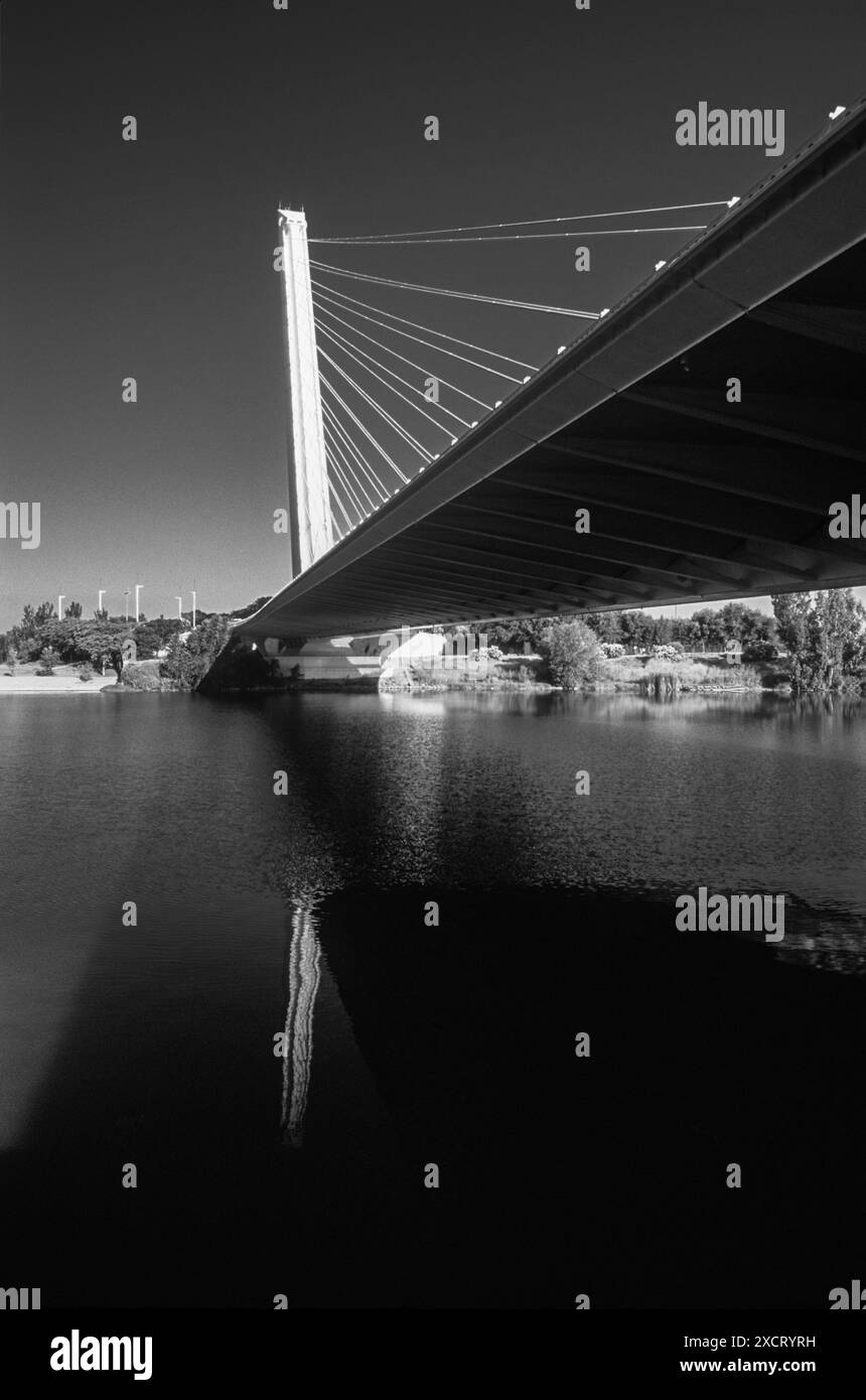 A view of Puente del Alamillo (Alamillo Bridge) that crosses the River ...