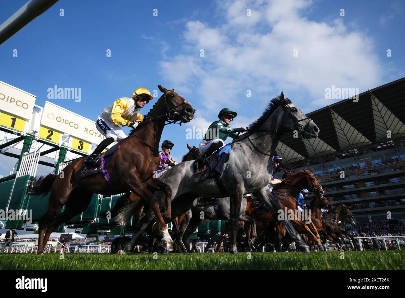 Runners and riders leave the stalls at the start of the Copper Horse ...