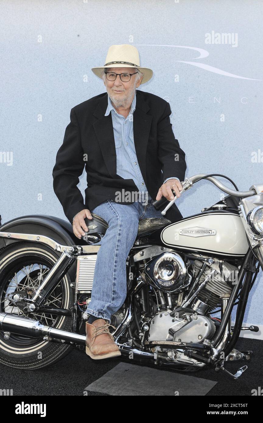 Bikeriders danny lyon hi-res stock photography and images - Alamy