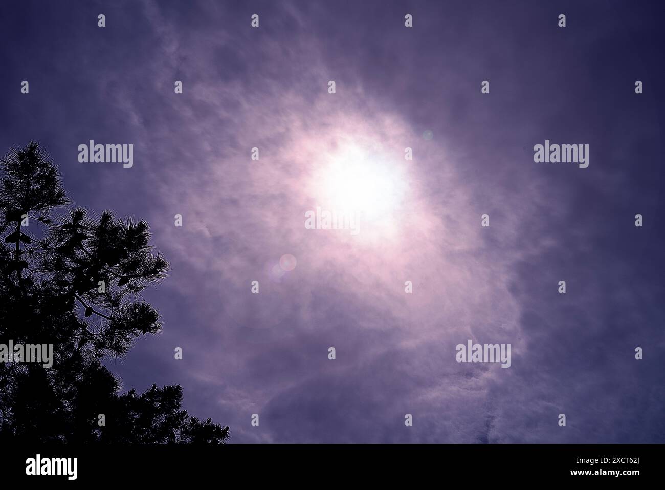 Black shadow of big tree and cloudy on the sun shading sky for ...