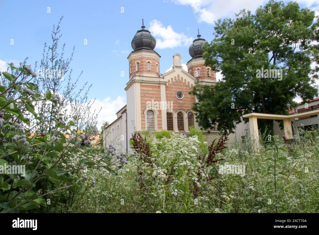 Jan koniarek gallery hi-res stock photography and images - Alamy