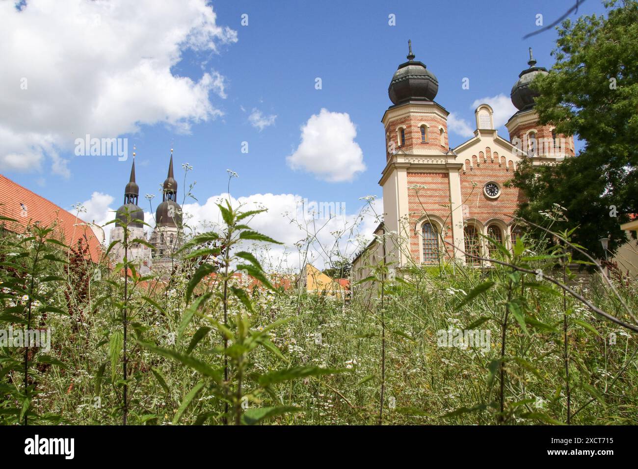 Jan koniarek gallery hi-res stock photography and images - Alamy