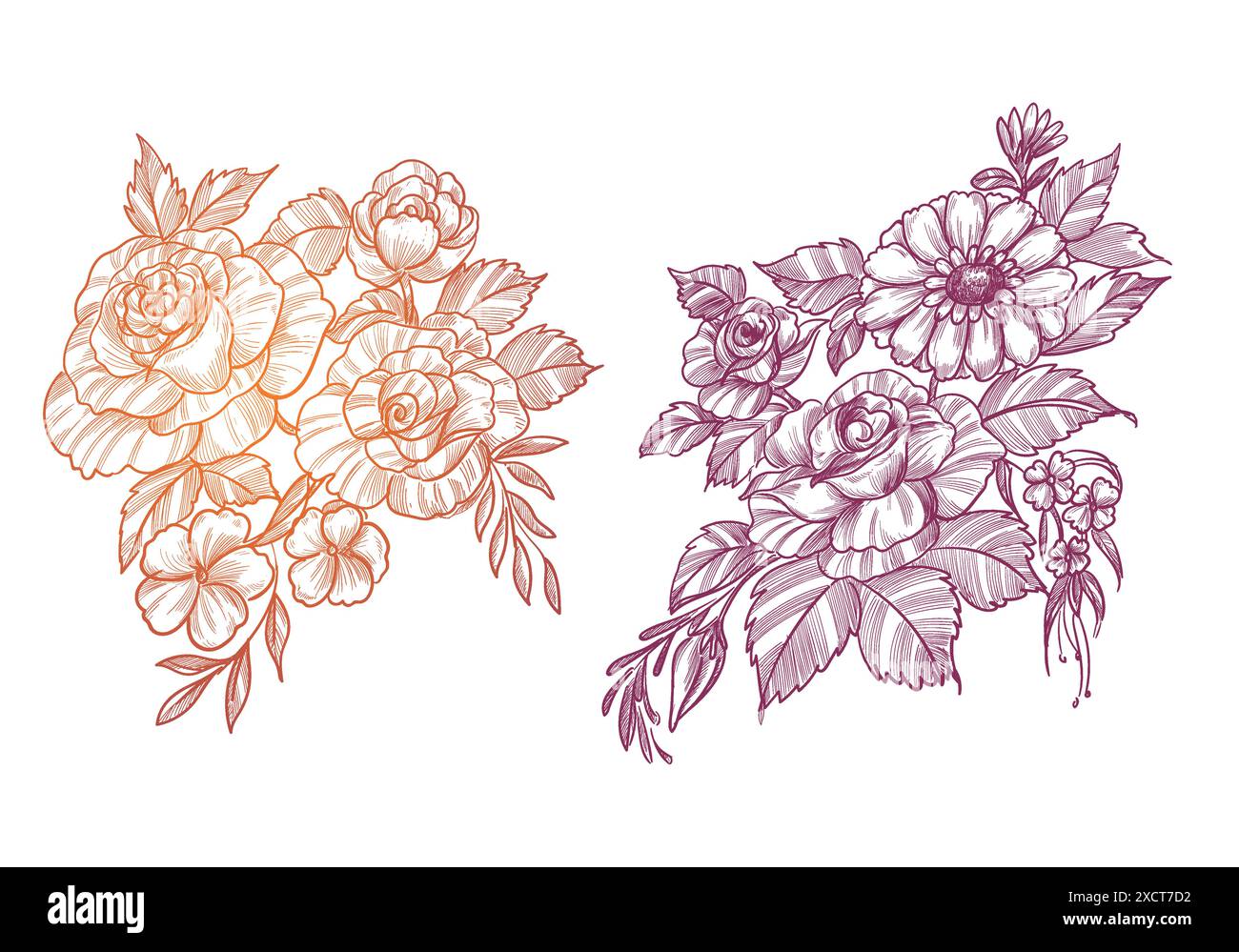 Beautiful sketch floral set design Stock Vector Image & Art - Alamy