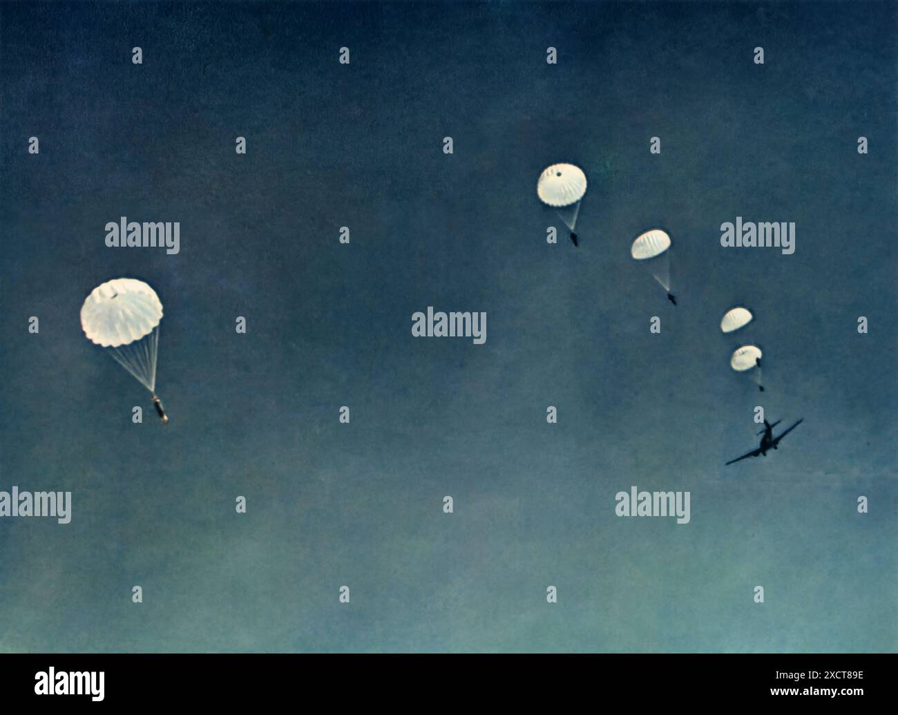 German fallschirmjager hi-res stock photography and images - Alamy