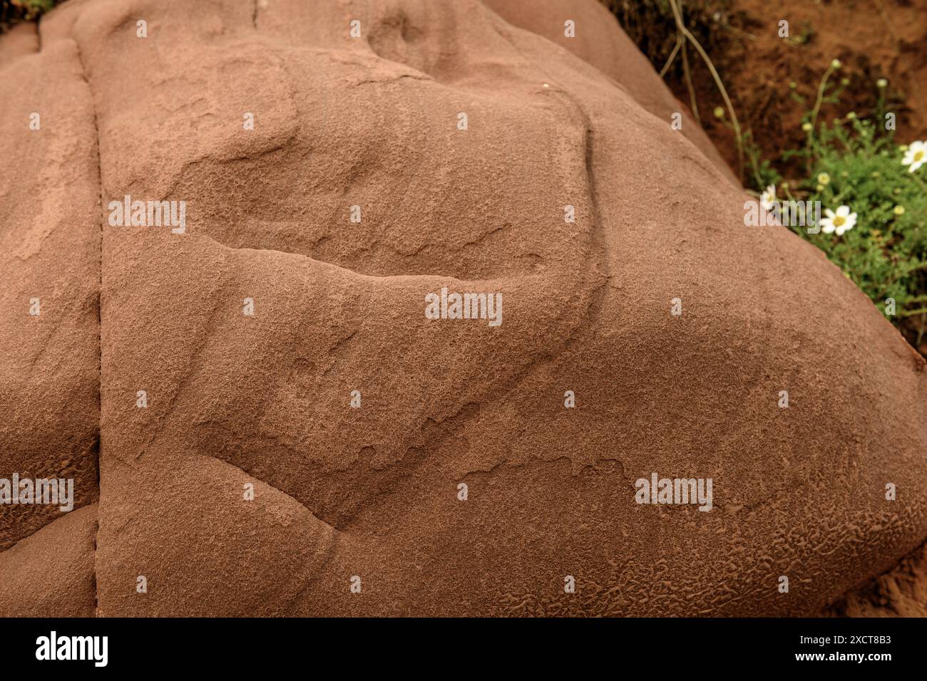 Detailed close-up of weathered red sandstone in Menorca, showcasing ...