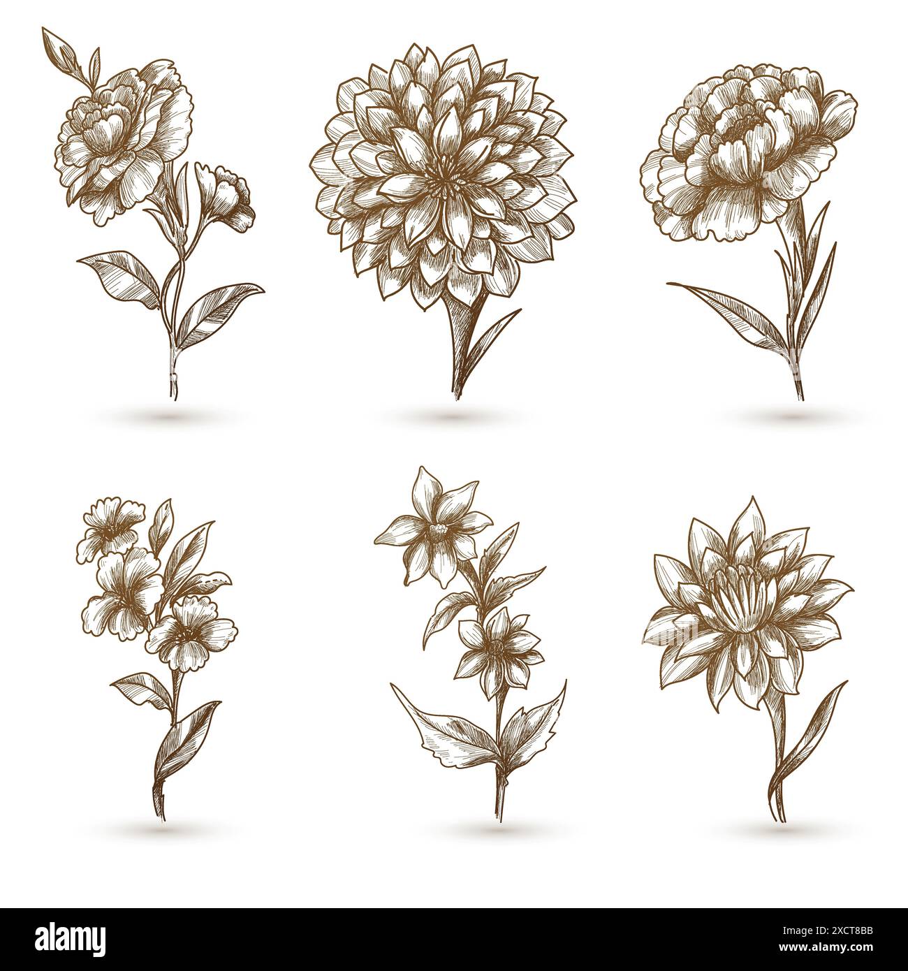 Beautiful and artistic Stock Vector Images - Alamy