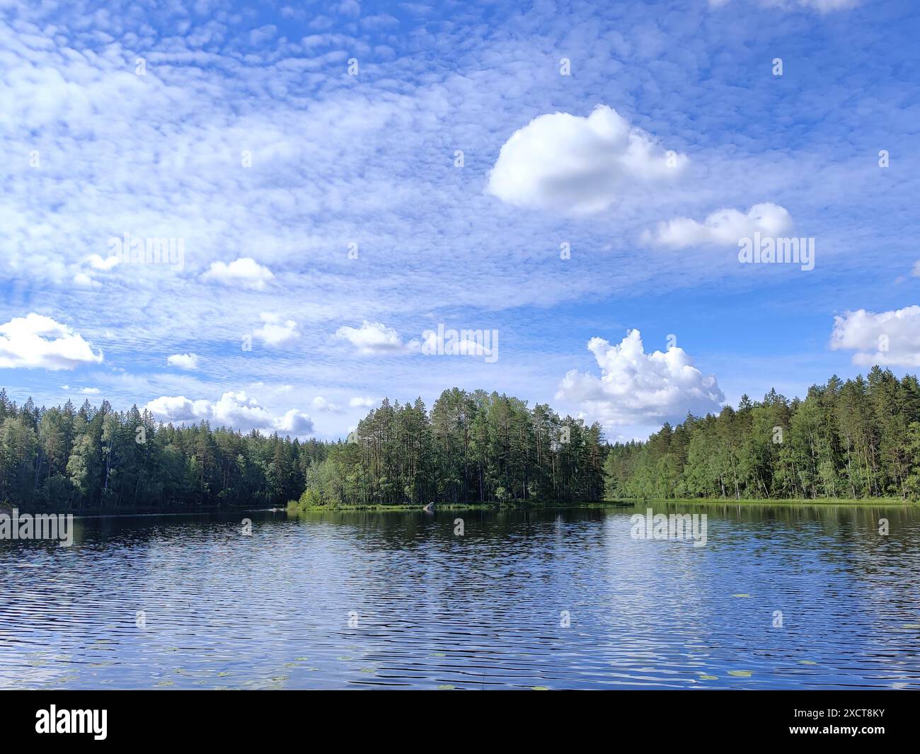 Typical Finnish National Park view with lakes, forest and blue cloudy ...