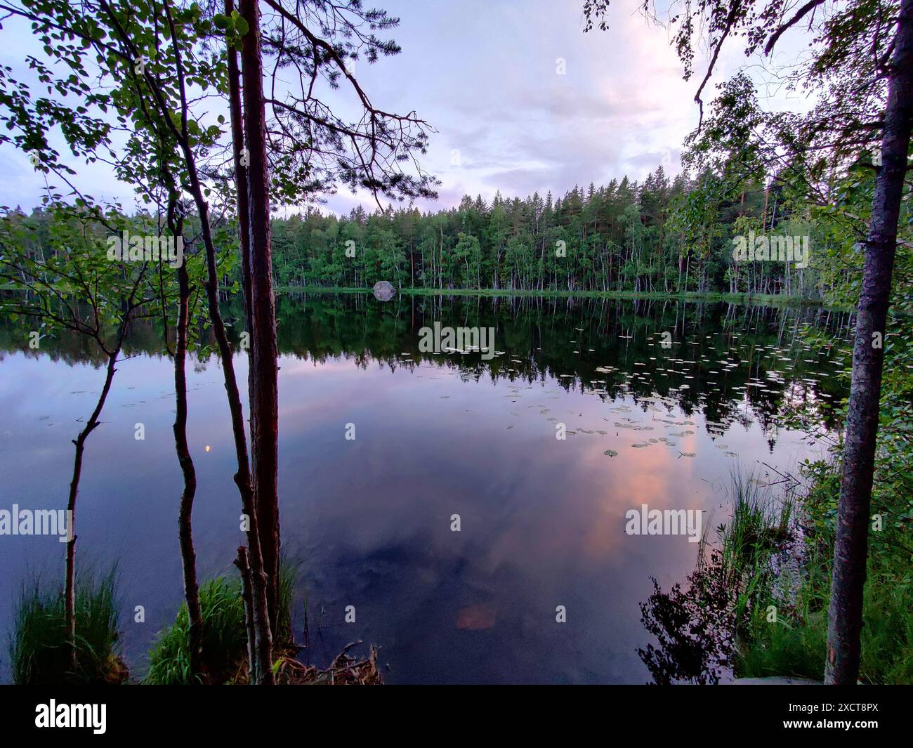 Typical Finnish National Park view with lakes, forest and blue cloudy ...