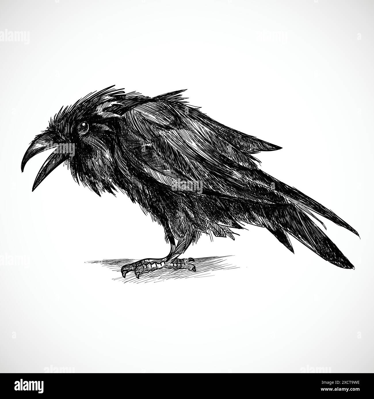 Draw wings Black and White Stock Photos & Images - Alamy