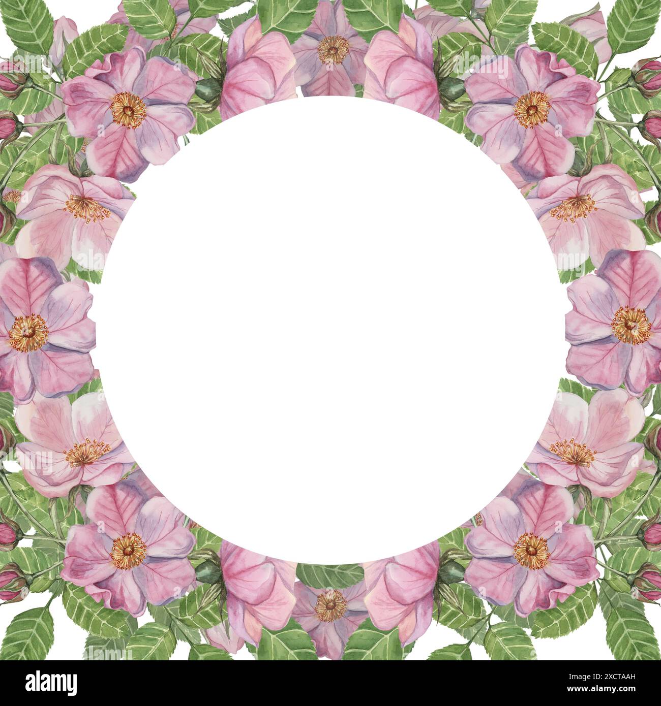 Rosehip dense round frame template, realistic pink wild rose flowers ...